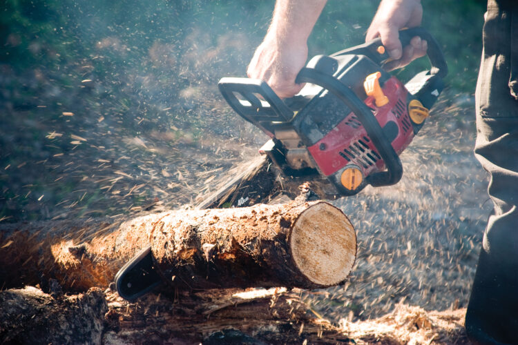 How to Cut a Tree on the Ground with a Chainsaw - Grit